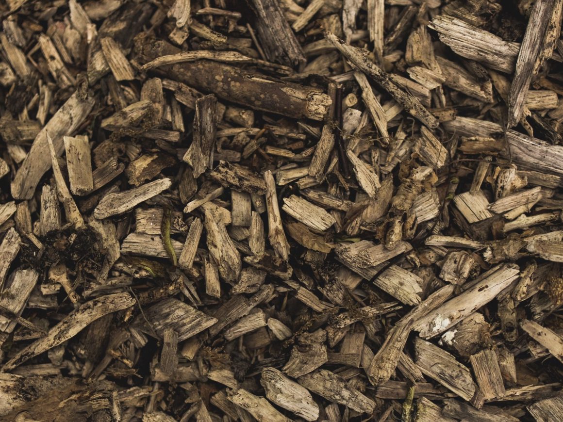 Barkflis: Hvad bruger man barkflis til? – Boliglife.dk